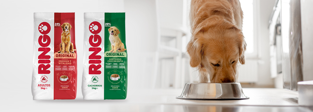 Menú navideño para tu perro con Ringo Original