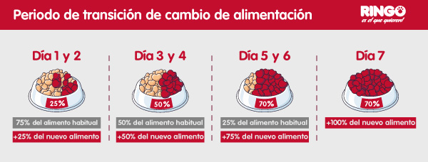 Recomendaciones para realizar la transición de alimento de tu perro