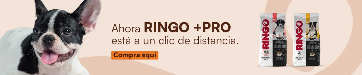 Ringo Original Adultos