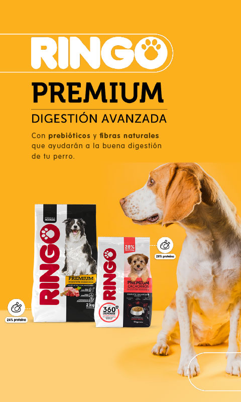 Concentrado Ringo más perros mejor alimentados y cuidados en Colombia