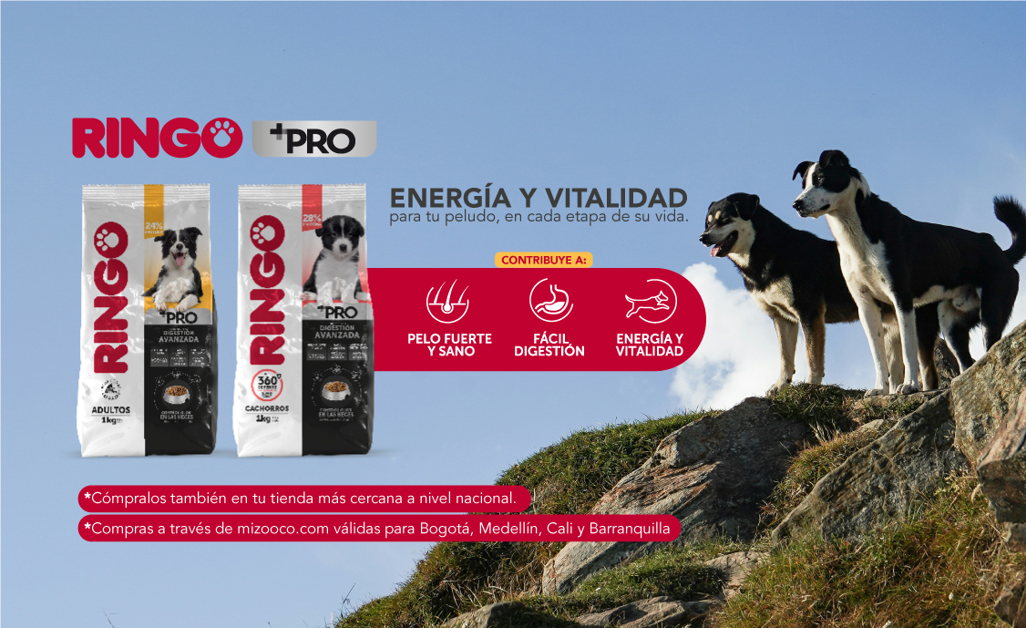 Concentrado Ringo más perros mejor alimentados y cuidados en Colombia