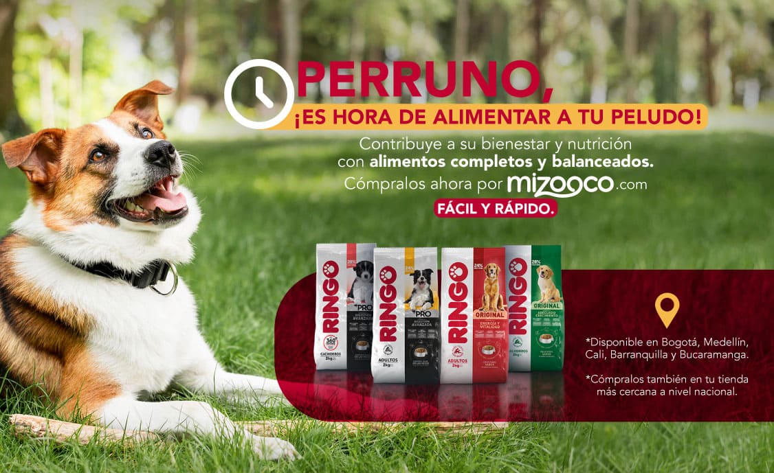Concentrado Ringo más perros mejor alimentados y cuidados en Colombia