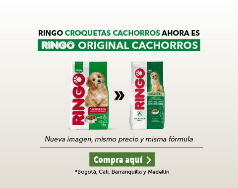 Ringo Original Cachorros