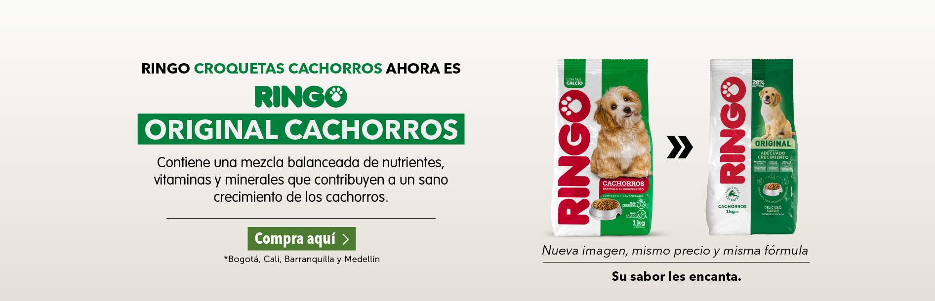 Ringo Original Cachorros